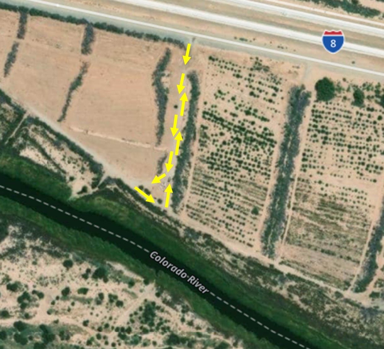 Tree Planting Event - Fort Yuma Quechan Indian Tribe